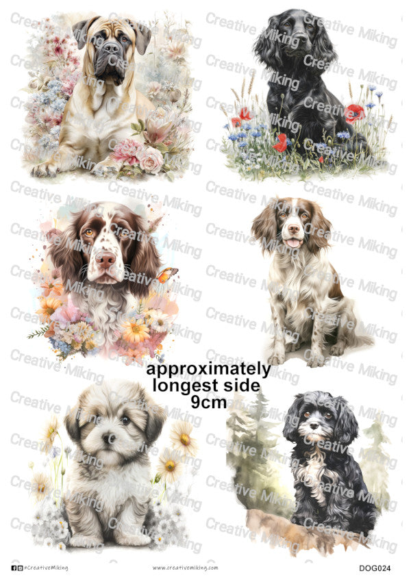 DOG024 - Mixed Breed Dogs – Creative Miking