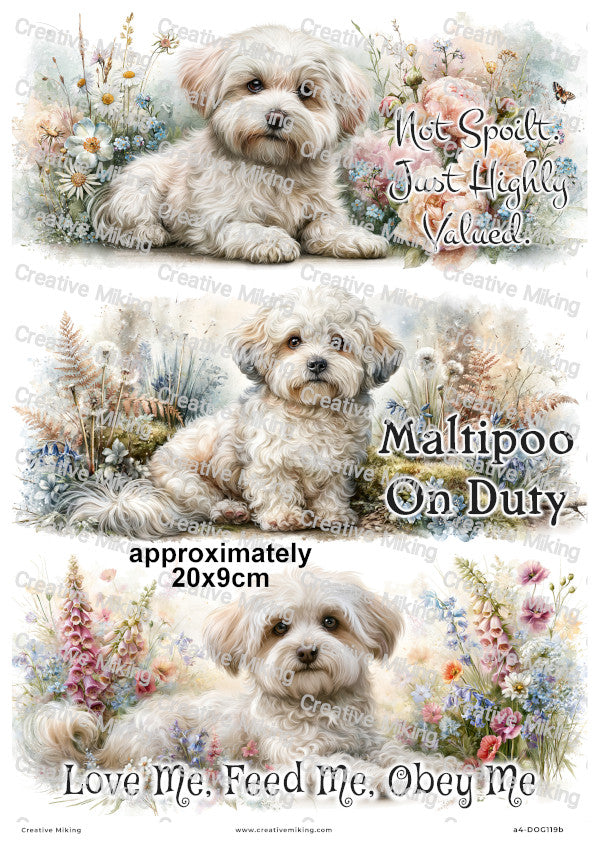 Maltipoo Dog In Flowers Funny Decoupage Rice Paper | DOG119b – Creative ...