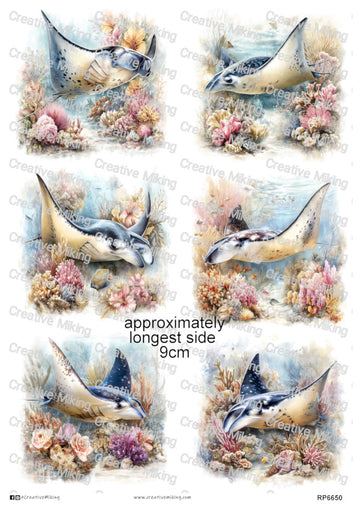 Sea Creatures Collection – Creative Miking