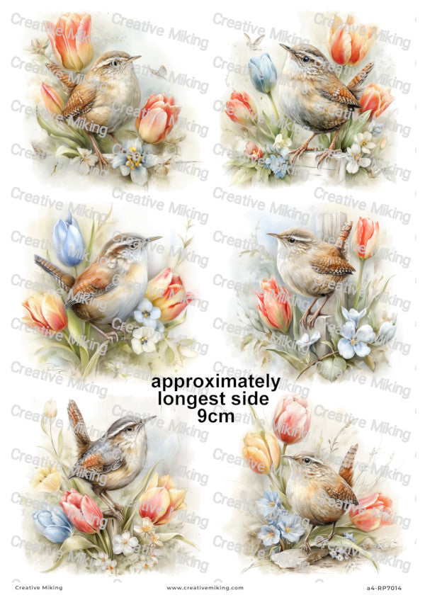Wren Bird With Spring Flowers Decoupage Paper | RP7014 – Creative Miking