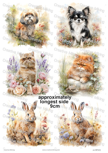 Wildlife & Woodland – Creative Miking